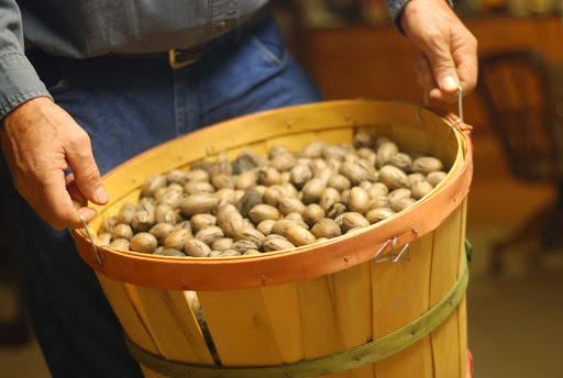 Pecan Orchard Work and Rewards – What’s Good About Home!